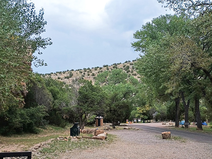 The park's campground road winds through cottonwoods and junipers, leading to adventures that won't show up on your phone notifications.