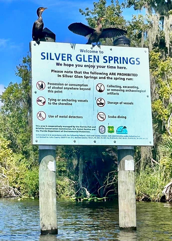 A path lined with canoes – like a nautical version of a shoe store where every pair promises adventure.