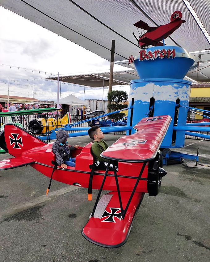 Childhood joy takes flight on vintage-inspired rides. These miniature aircraft offer young pilots the thrill of adventure without ever leaving the ground.