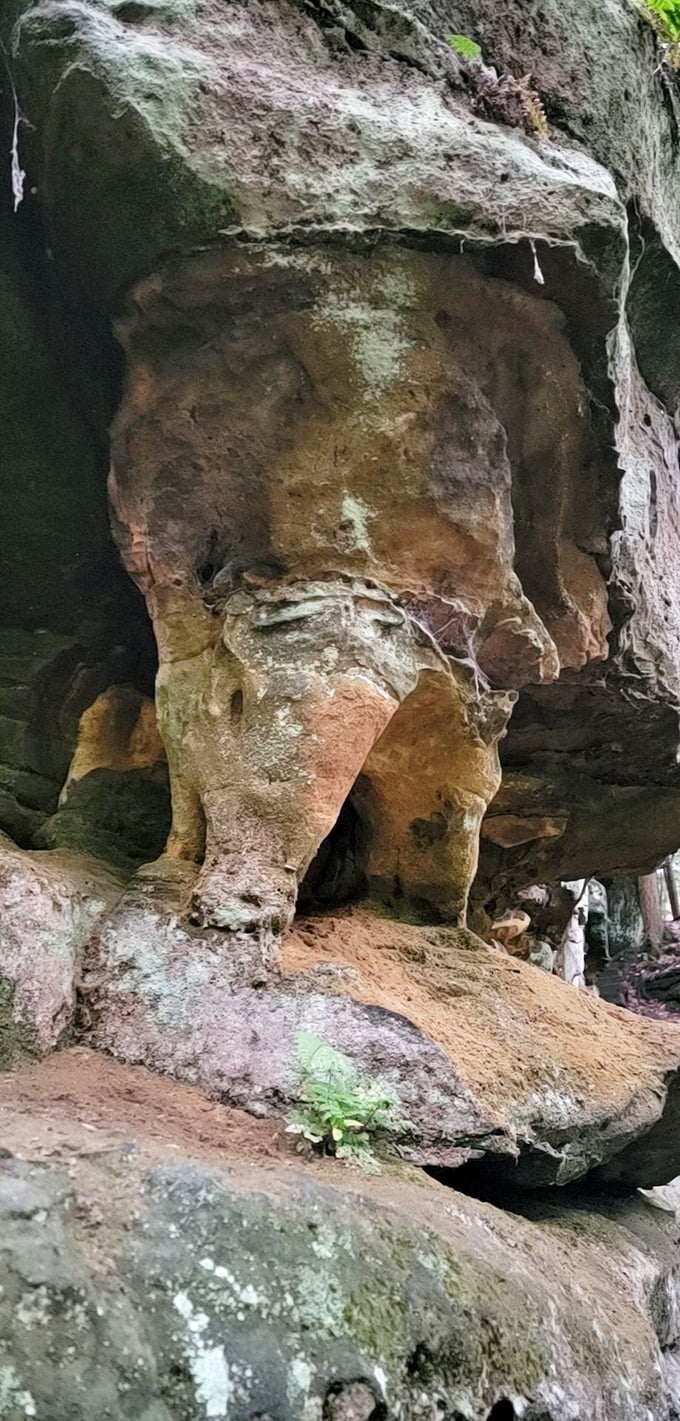 Nature's sculpture garden where rock formations tell stories older than your grandfather's favorite jokes.