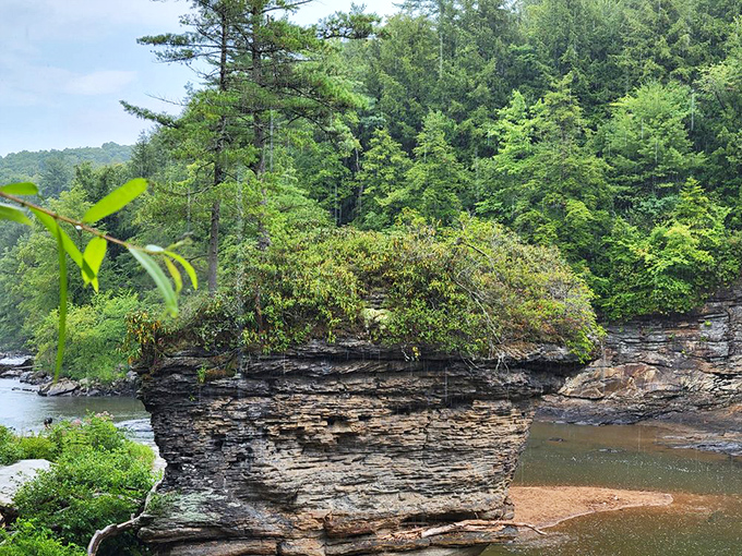 Nature's architecture doesn't need blueprints. This rock formation has withstood centuries of elements with more grace than most modern buildings manage in decades.