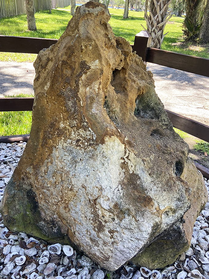 Not just any rock &ndash; this limestone formation has witnessed centuries of Florida history, standing sentinel as civilizations rose and fell around it.