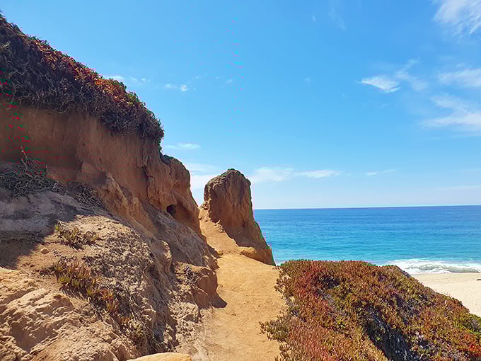 This sandy trail practically whispers, "Follow me to something wonderful." And in Big Sur, that promise is always kept.