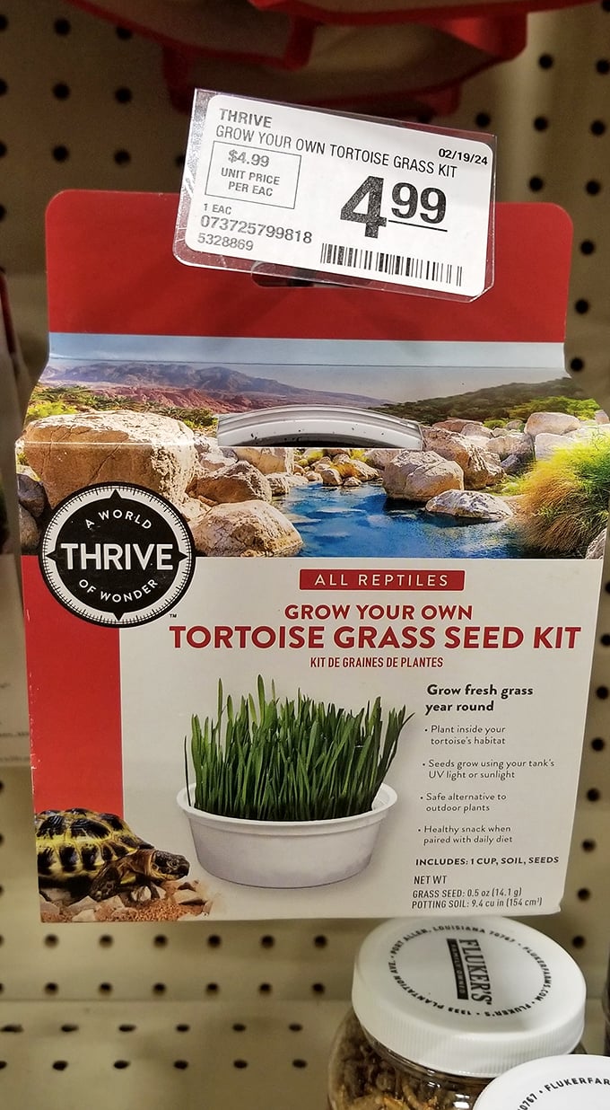 Who knew tortoise parenting could be so affordable? This seed kit proves pet ownership has its quirky, green-thumbed side.