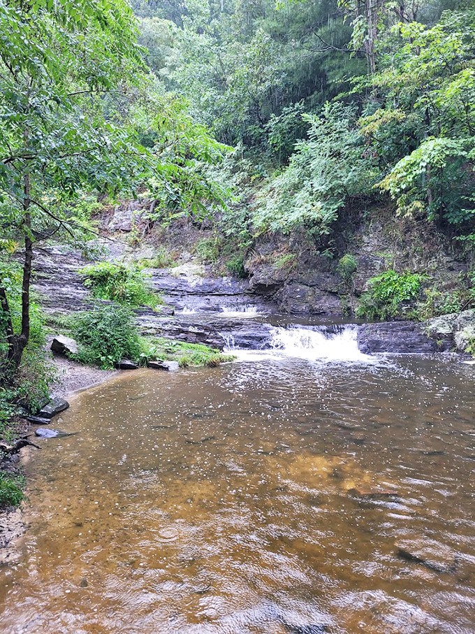 Nature's spa treatment &ndash; gentle cascades creating pools of tranquility where stress dissolves faster than an aspirin.