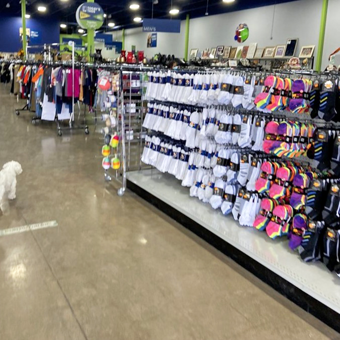 Sock stock that would make even Marie Kondo's organizing heart skip a beat. Every color, pattern, and personality lined up at attention.
