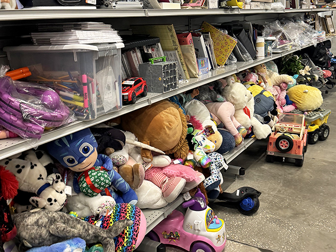 Stuffed animals huddle together on shelves, a plush parliament of previously-loved companions ready for new hugs from the next generation.