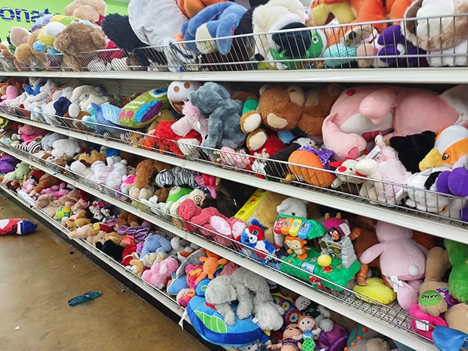 The stuffed animal section—a plush menagerie where teddy bears and cartoon characters await second chances at being a child's best friend.