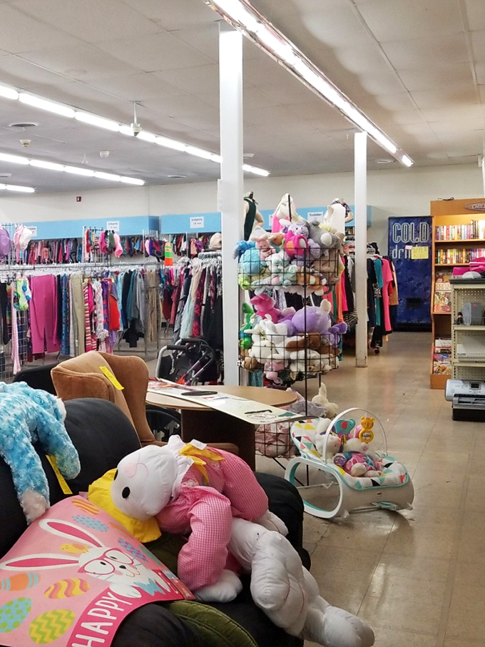 Stuffed animals and baby gear create a colorful playground where gently-used treasures await their second chance at love.