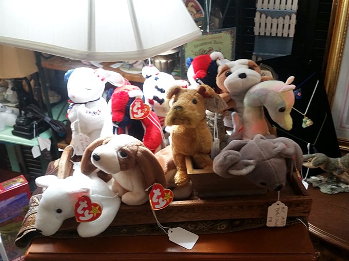 The island of misfit toys found their forever home. These plush companions are just waiting for their second chance at being loved.