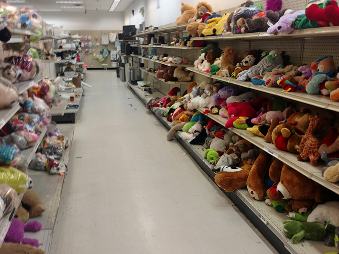 Stuffed animals crowd together hoping for adoption, ready to comfort kids or become quirky d&eacute;cor for adventurous adults everywhere.