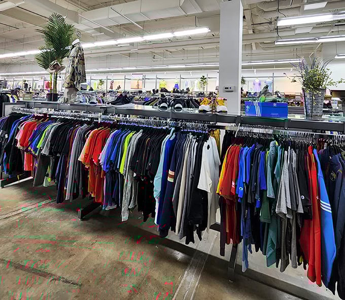 A rainbow of possibilities hanging in perfect formation. This t-shirt selection is the wardrobe equivalent of a well-stocked pantry.