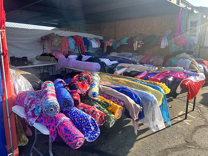 Fabric heaven where crafters and costumers find their muse. These rolls of color and pattern are just waiting to become someone's "I made it myself!"