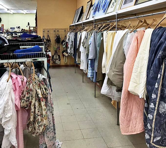 The textile section offers everything from practical bedding to statement pieces that could transform your guest room from "meh" to "magnificent."