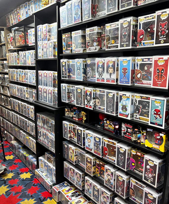 Pop culture paradise! Collectible figurines stand guard in their boxes, delighting nostalgic fans and serious collectors alike.