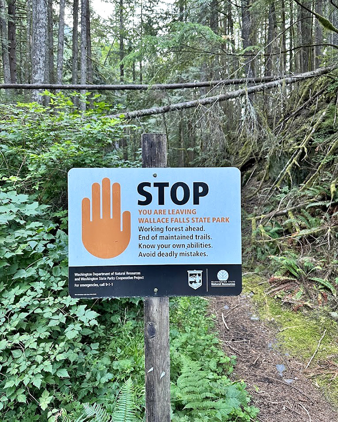 Nature's boundary marker: where maintained trails end and wilderness begins. Consider it Mother Nature's way of saying "proceed at your own risk."