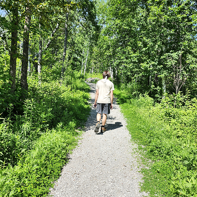 The park's well-maintained trails invite exploration through sun-dappled forests where the only traffic jam involves squirrels arguing over acorn rights.