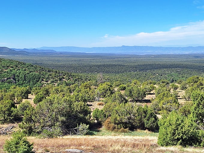 The patchwork of juniper and pine creates nature's own camouflage pattern, stretching toward mountains that fade into watercolor blue.