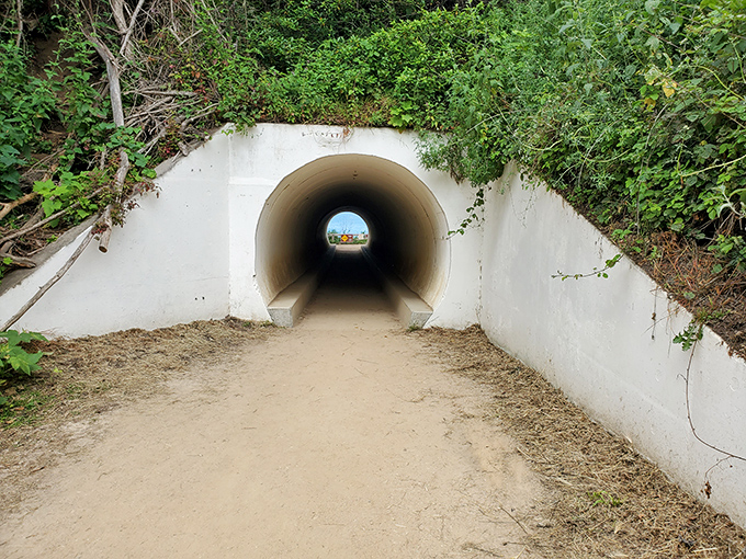 The tunnel to wonderland. That circle of blue at the end isn't just daylight&mdash;it's the promise of something magical waiting on the other side.