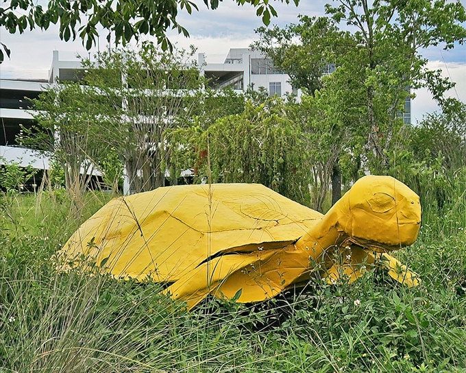 Another angle of the cheerful yellow turtle, peeking through native grasses as if it's just emerged from a hidden pond.