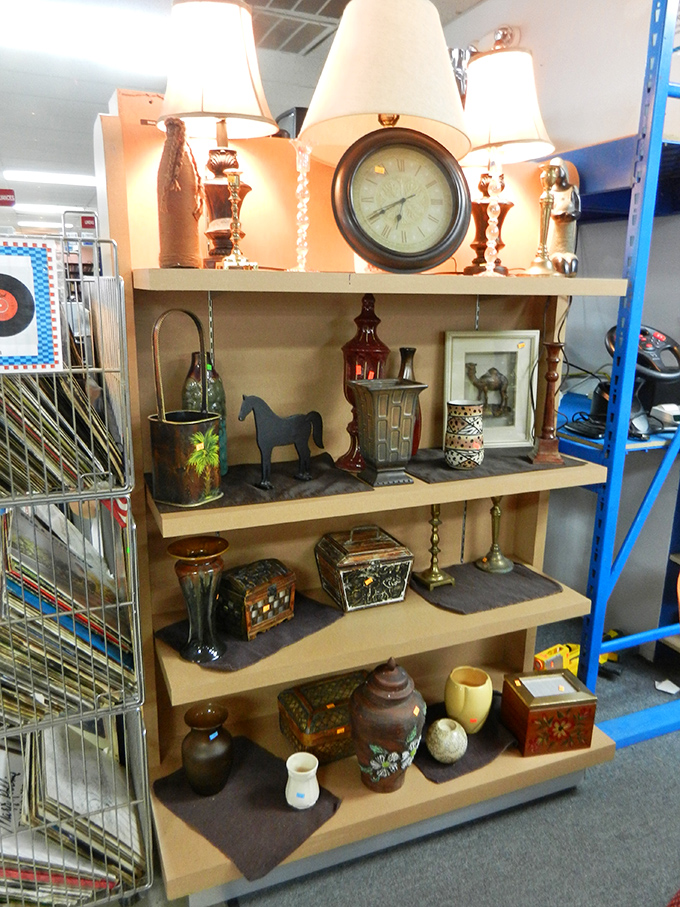 Shelves of curiosities where lamps, clocks, and mysterious treasures create their own antique roadshow.