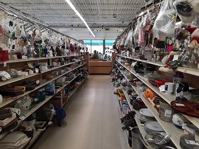 The housewares aisle: where holiday decorations, serving platters, and kitchen gadgets create a treasure hunt for domestic archaeologists. Someone's past becomes your perfect find.