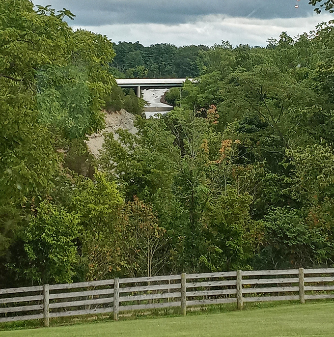 Nature surrounds the restaurant, offering diners a verdant backdrop that makes the journey to this hidden gem part of the experience.