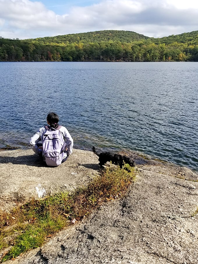 Contemplation with a view. Sometimes the best hiking companion has four legs and doesn't interrupt your thoughts with small talk.