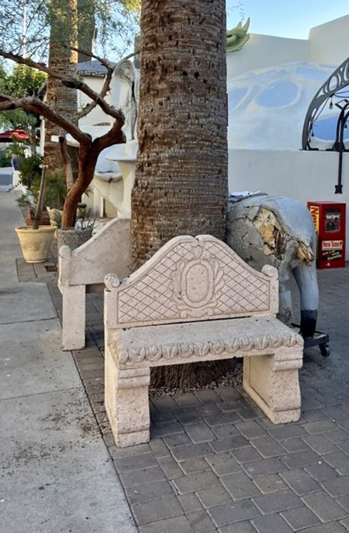 This stone bench beneath palm trees offers a moment of Zen before the flavor fiesta begins inside.