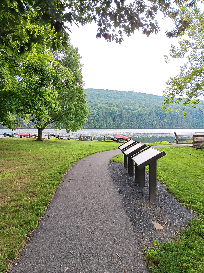 Tree-lined paths create natural tunnels that filter sunlight into something magical &ndash; no Instagram filter required.