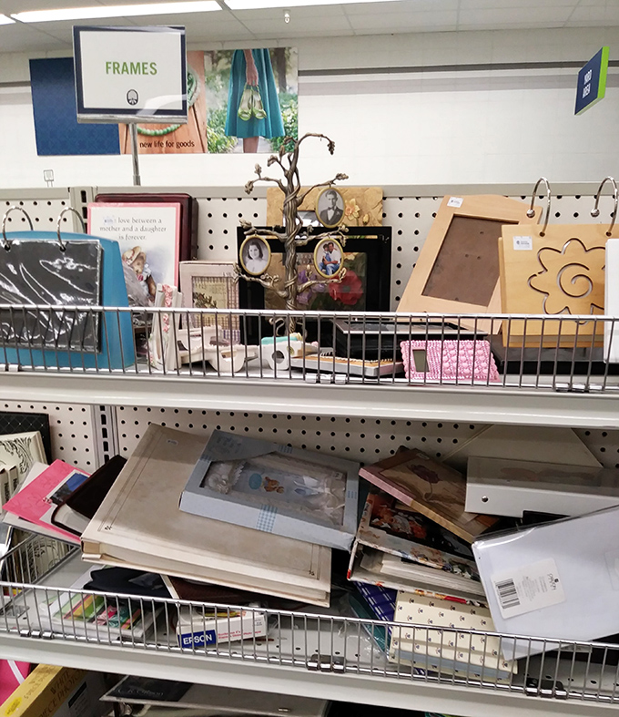 Even picture frames get a second chance here, ready to showcase new memories while carrying the karma of happy photos past.