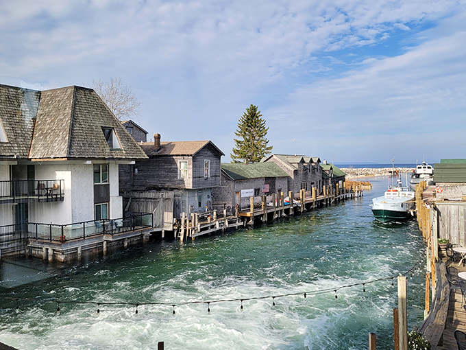 Water cascades with the enthusiasm of a child showing off, creating nature's most delightful summer soundtrack.