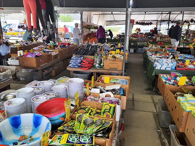 A marketplace cornucopia where household essentials meet vacation impulse buys. Those neon pool noodles are practically calling your name.