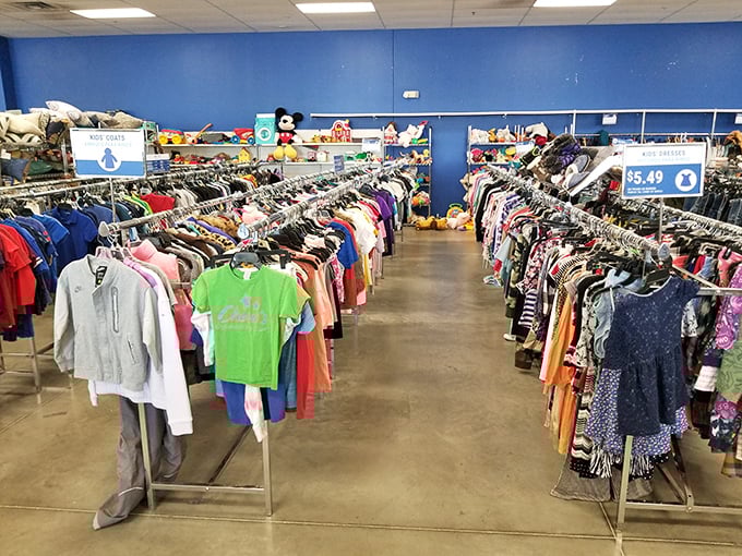 A rainbow of secondhand fashion stretches to the horizon, proving style and savings aren't mutually exclusive concepts.