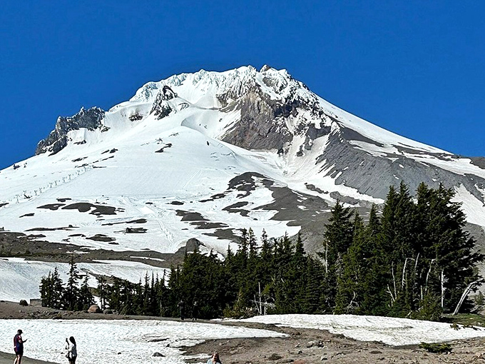Mount Hood stands majestic in winter white, a snow-capped detour from coastal explorations. Oregon's diverse landscapes are just hours apart.
