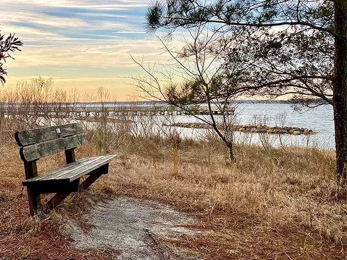 Sometimes the perfect seat isn't in a five-star restaurant but on a weathered bench with a million-dollar view that can't be bought.