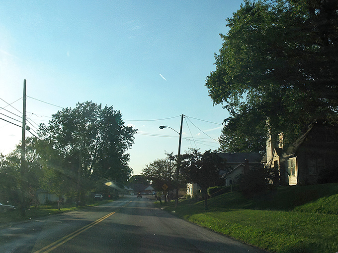 Late-day sunlight spills over a quiet street in Apple Creek, where tree-lined lawns and classic homes embody the calm rhythm of small-town Ohio.
