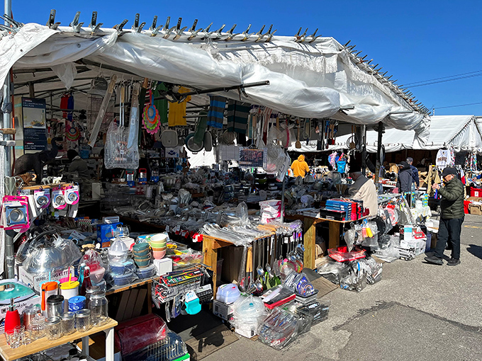 Under canvas tarps, household goods and kitchen items spread across tables where bargain hunters find necessities, not just novelties.