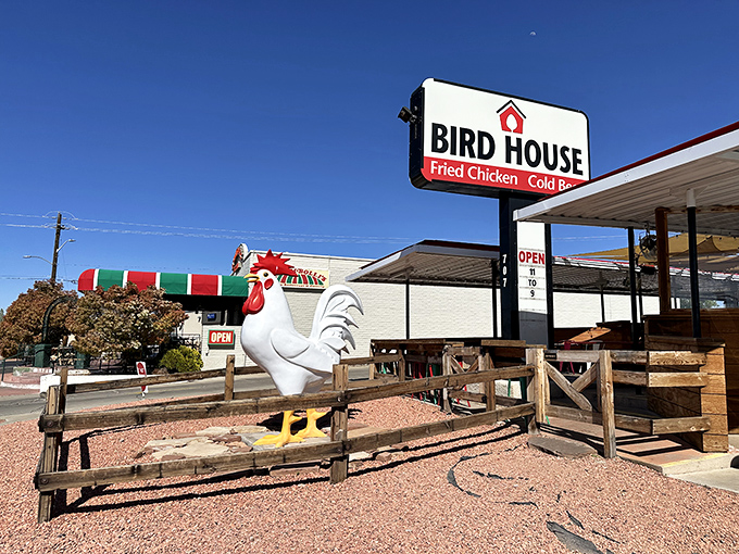 BirdHouse's giant rooster stands guard over Page's premier destination for golden-fried happiness.