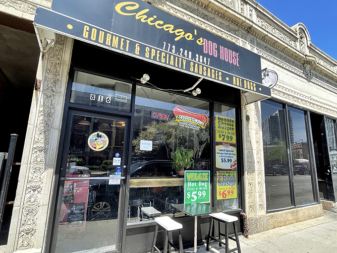 11a. chicago's dog house (chicago)