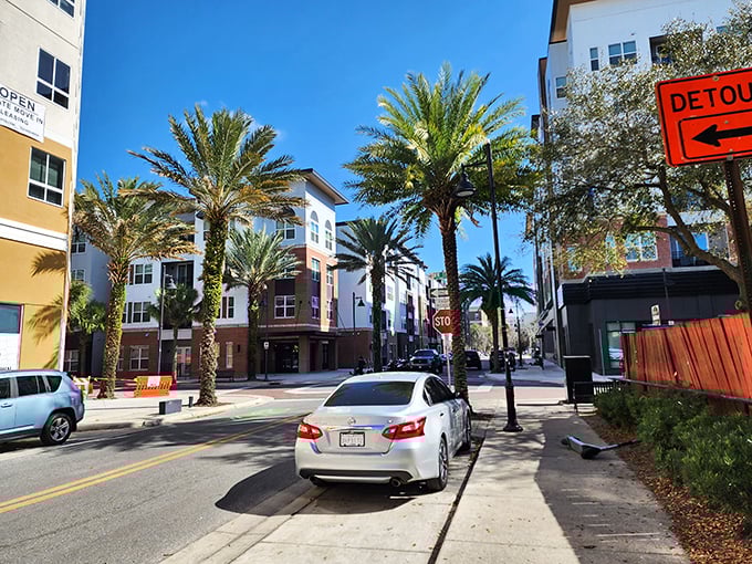 Gainesville blends university-town energy with retiree-friendly prices. Modern amenities and historic charm create the perfect budget balance.