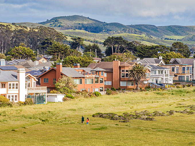 Rolling green hills meet the Pacific where this agricultural coast offers a different kind of California beach experience.
