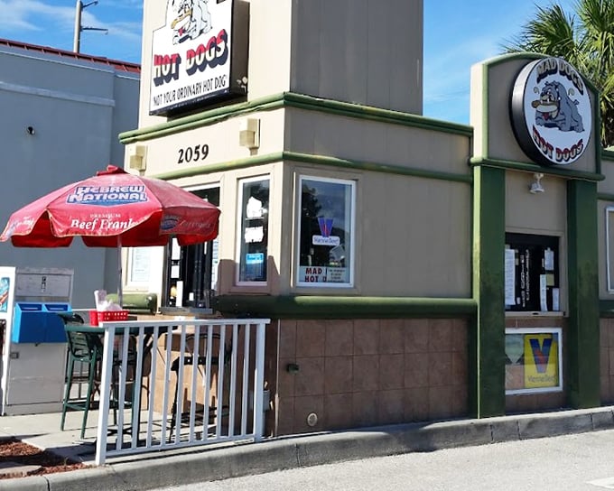 Mad Dogs' modest exterior hides bold flavors inside &ndash; like finding Shakespeare in a paperback, it's what's inside that counts.