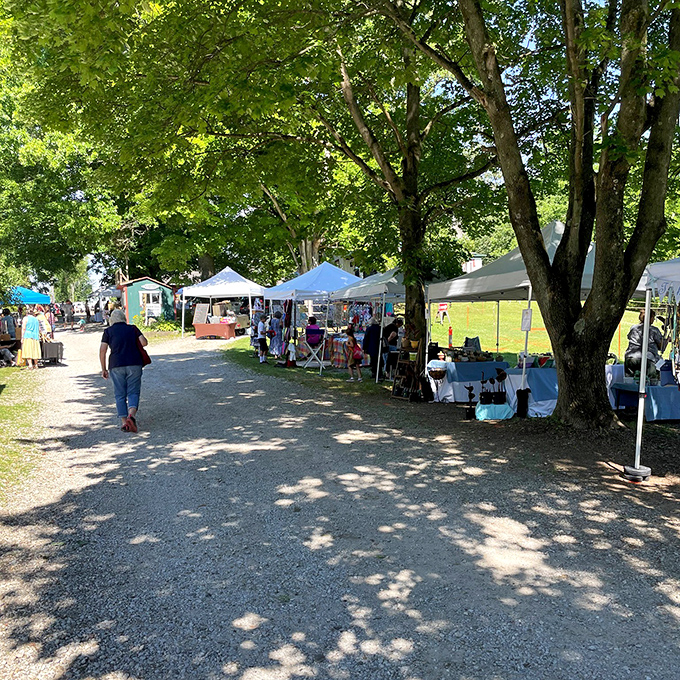 Dappled sunlight guides shoppers down the path at Peninsula Flea, where nature provides the perfect shopping backdrop.