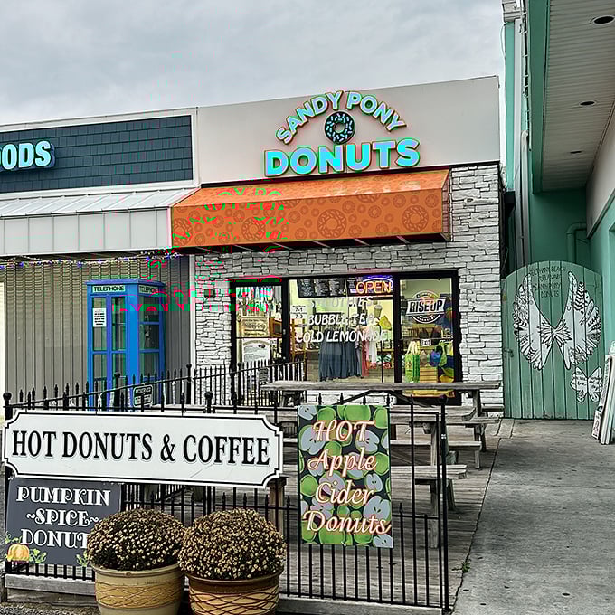 Sandy Pony's colorful storefront brings beach-town whimsy to the donut game. Those pumpkin spice signs signal seasonal delights ahead!