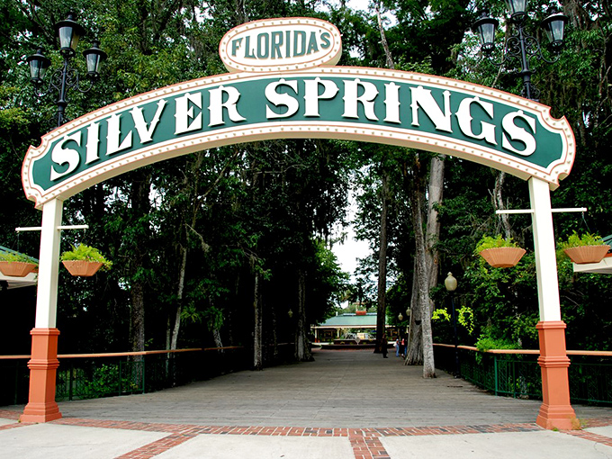 Silver Springs' entrance promises old-school Florida fun before mouse ears became the state's calling card.