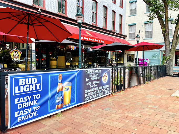 The Dog House Bar and Grill's inviting patio creates the perfect setting for enjoying a loaded dog and cold beer on a sunny Maryland afternoon.