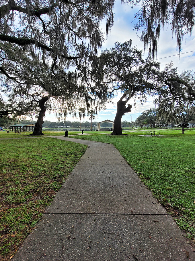 Zephyrhills' open countryside offers room to breathe and affordable living. That sunset doesn't cost a penny more than in Miami!