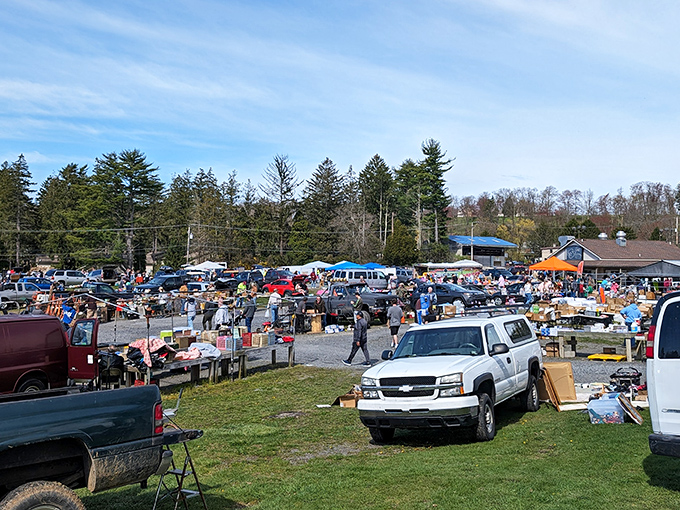 Fresh mountain air enhances the joy of discovery at this elevated marketplace experience.