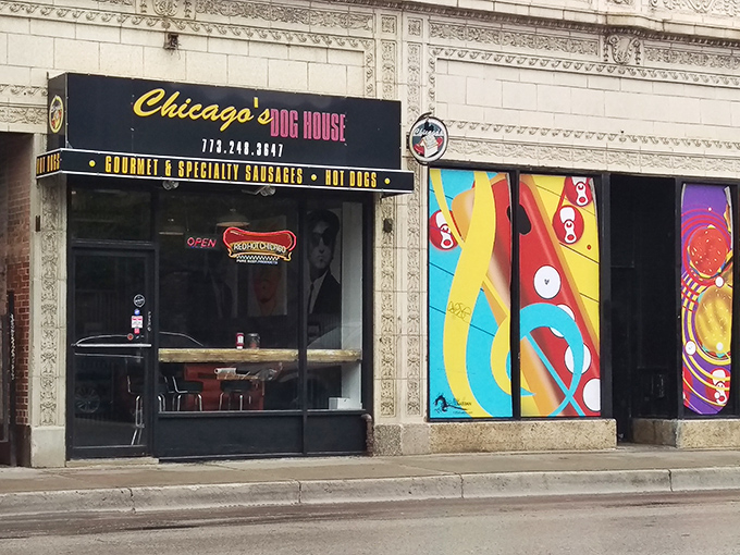 11b. chicago's dog house (chicago)